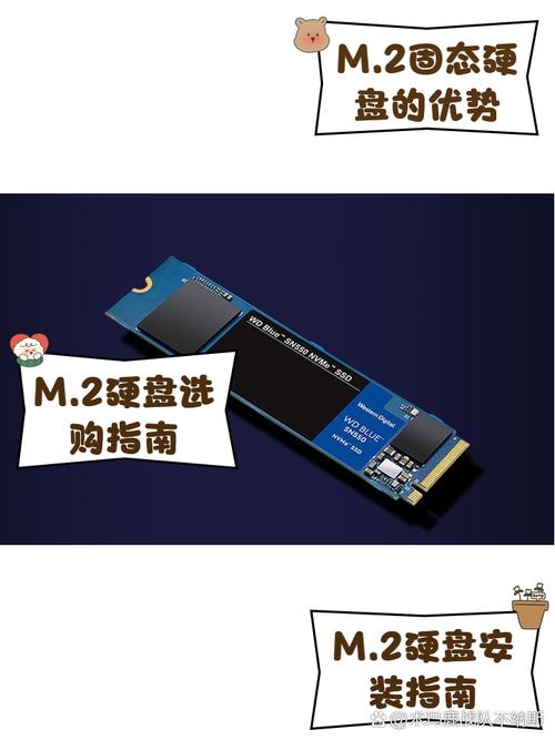没m2接口怎么装m2固态图标