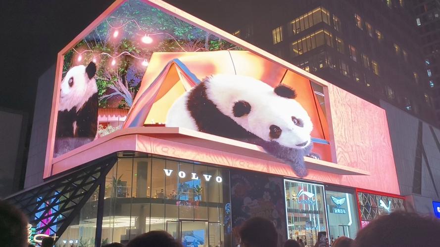 成都看大熊猫图标