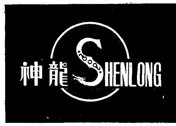 神龙代理图标