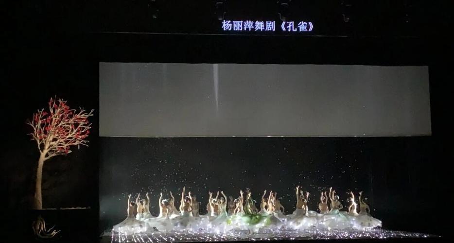 最美丽的光的舞蹈图标