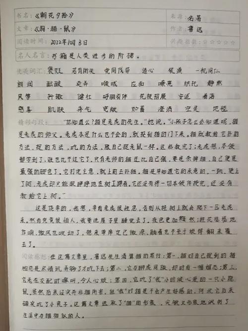 一千字的读书心得3篇