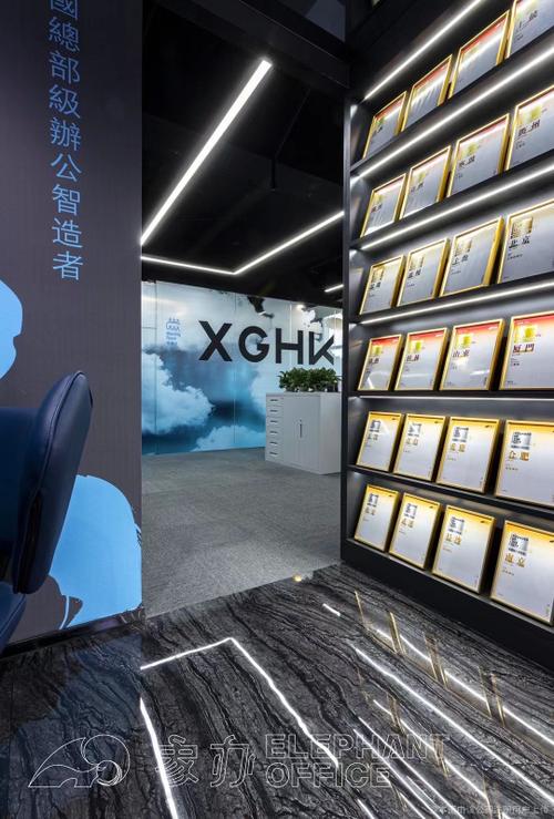 浙江微派科技有限公司图标