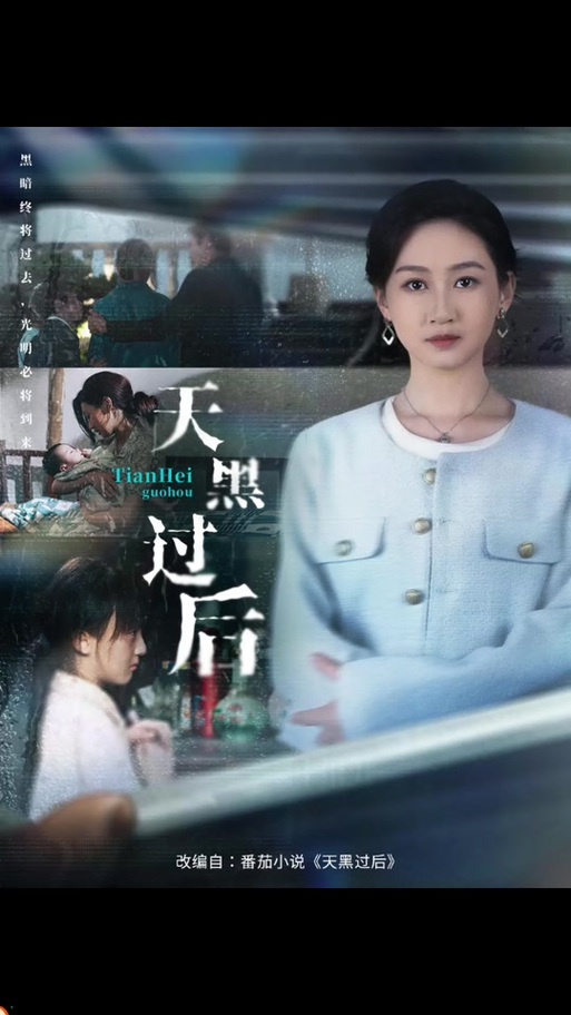 天黑过后长大陈招娣真实故事吗截图