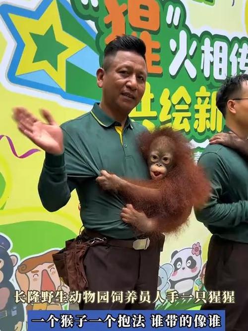 动物园饲养员招聘条件截图