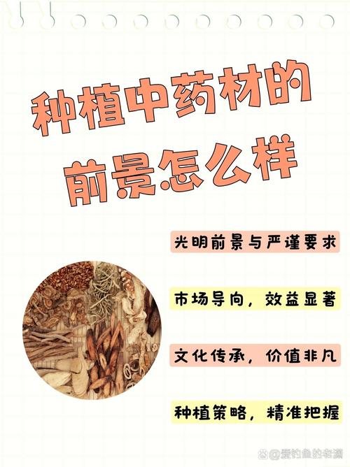 目前什么中药材紧缺,前景好