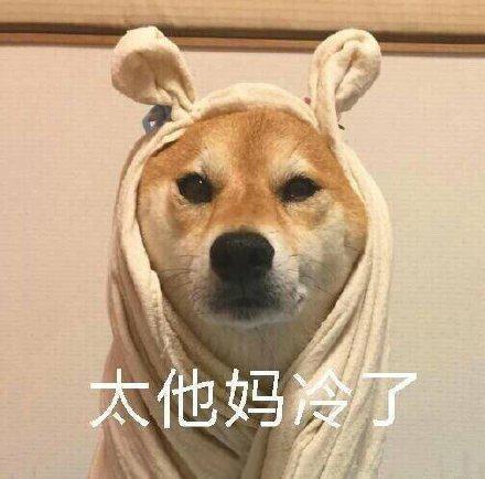 冷的表情包搞笑图片图标