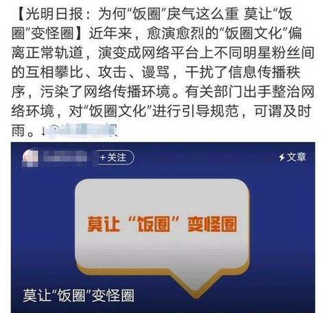 什么叫饭圈文化解释一下图标