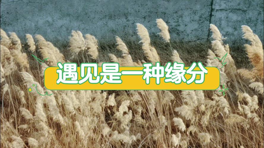 缘分是真的么图标