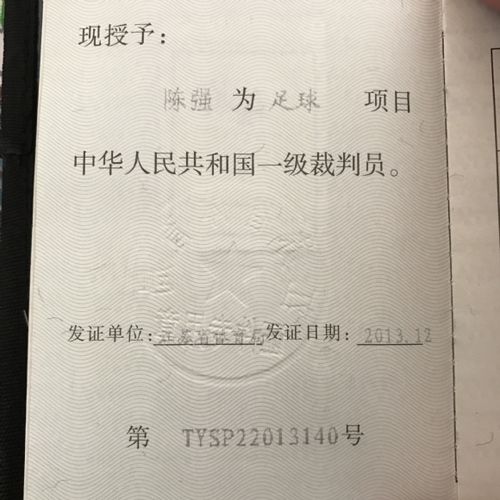 足球三级裁判员证图标