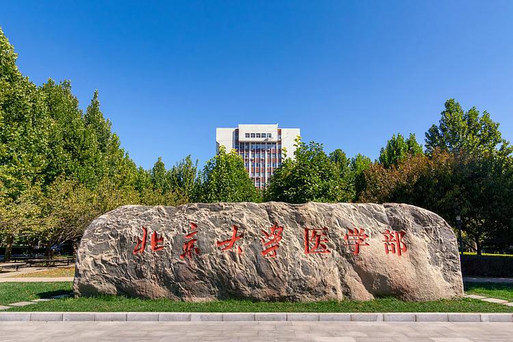 北大医学部官网图标