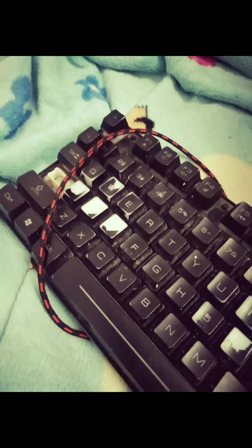 玩游戏按键盘就打字图标