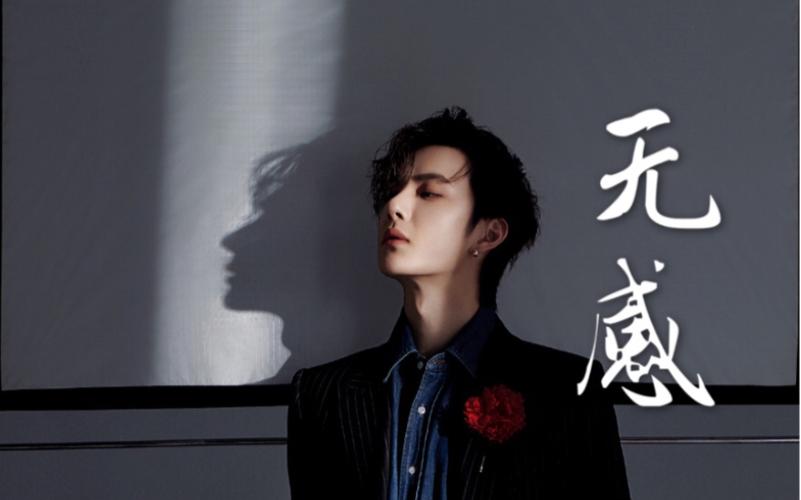 无感mv官方截图