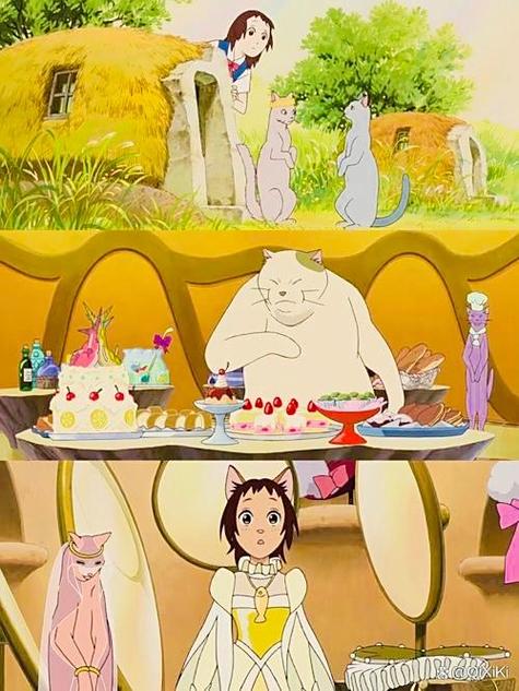 猫咪看的动画片图标