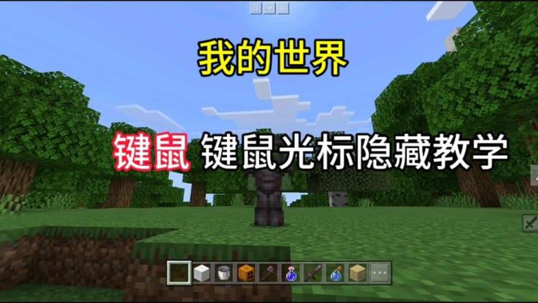 我的世界键鼠怎么隐藏鼠标图标
