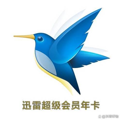 迅雷好用吗图标