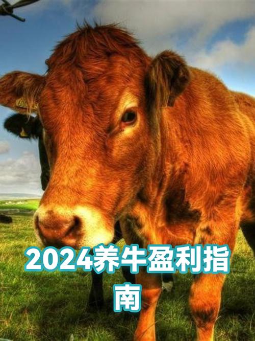 养50头牛一年利润图标