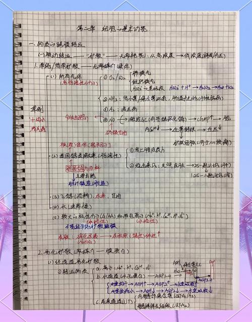 血欲笔记本密码输入方式图标