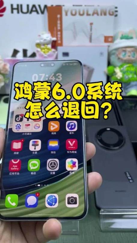鸿蒙6.0退回鸿蒙4.2图标