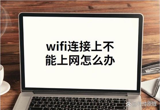 连上wifi却显示无互联网连接游戏截图