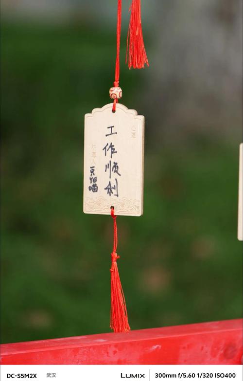 福牌是什么图标