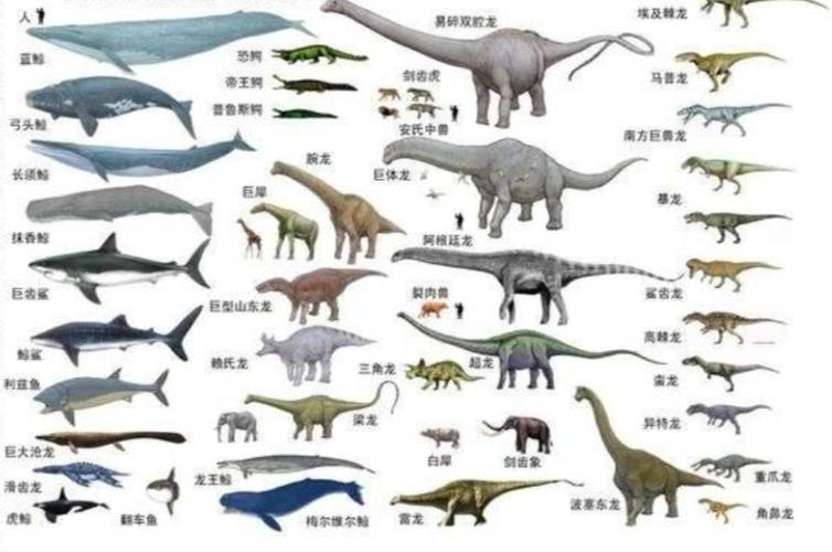 恐龙类型名称图片大全图标