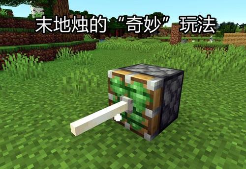 mc末地棒截图