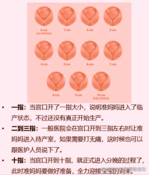 宫口开一个指尖什么时候能生截图