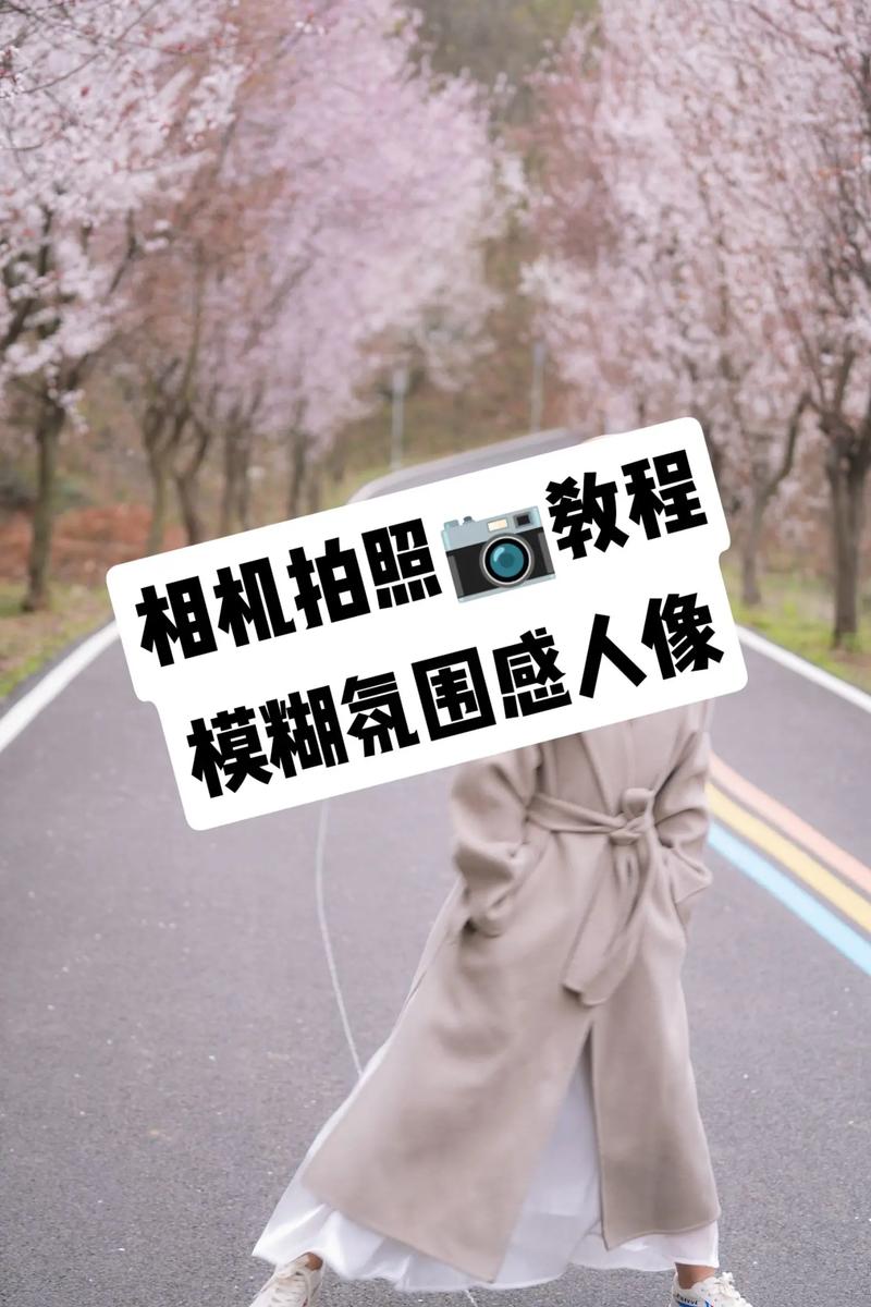 ipad拍照模糊怎么调图标