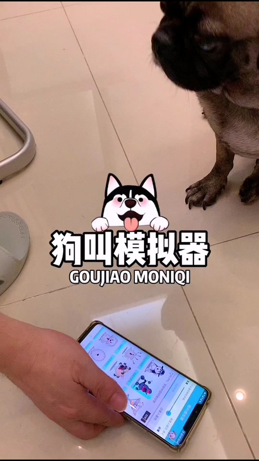狗叫声模拟器mp3图标