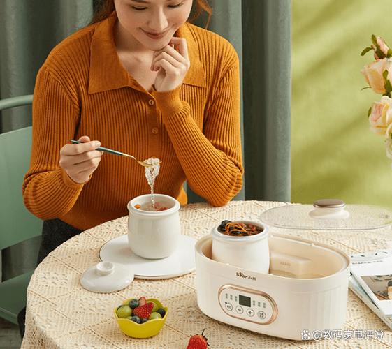 小熊煲粥锅使用说明书图标