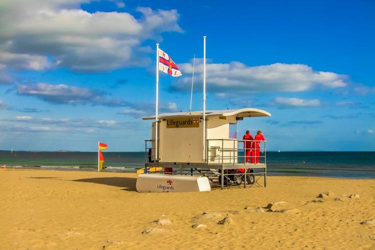 lifeguards翻译成英语截图