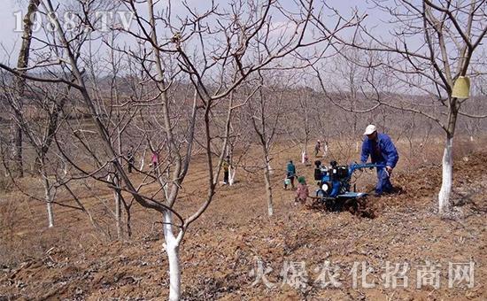 苹果有一款塔防游戏叫什么图标