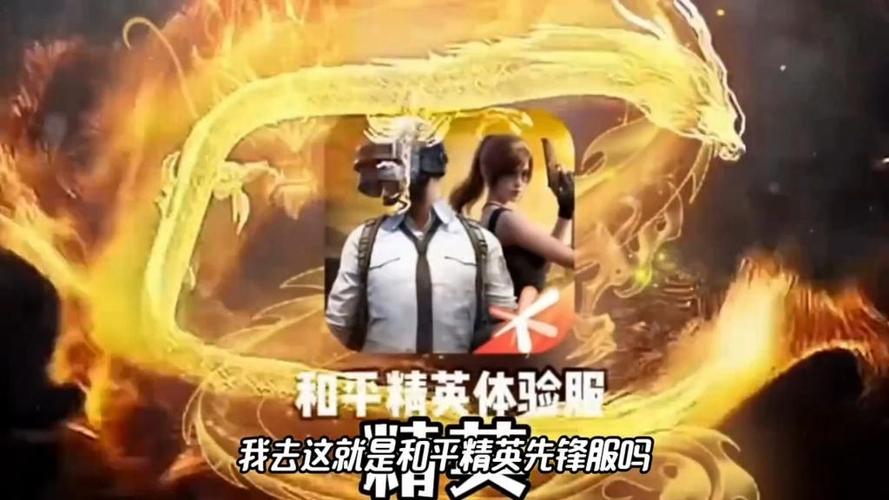 和平精英先锋服下载安装入口截图