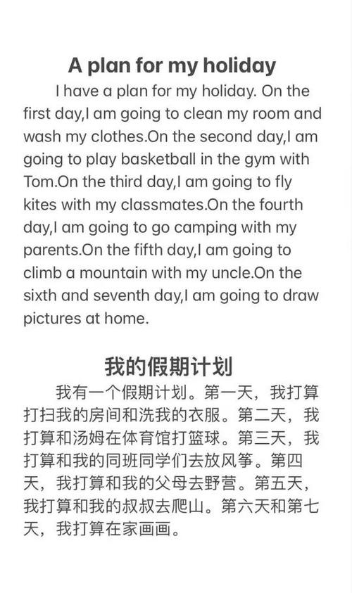 my holiday plan简单又漂亮