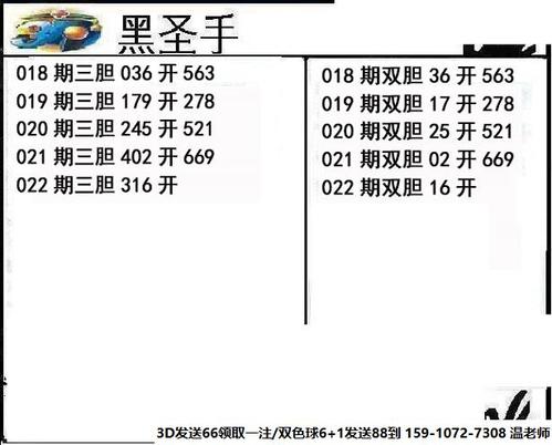 2013全年3d黑圣手字谜截图