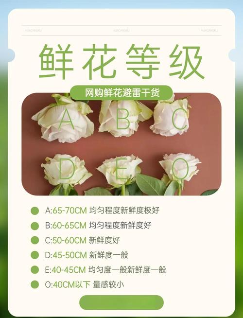 花吱app的评价图标