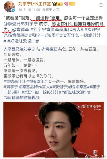 刘宇宁代言费多少图标