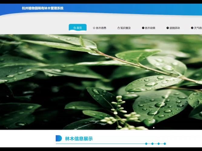 雨林木风系统图标