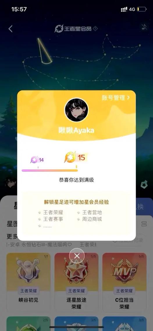 星会员15级要充多少钱图标