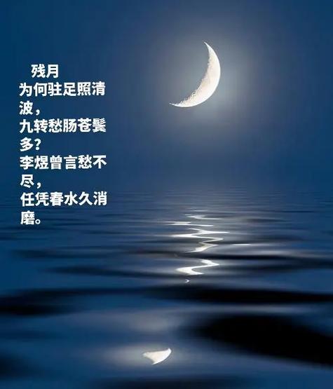 残月官网截图
