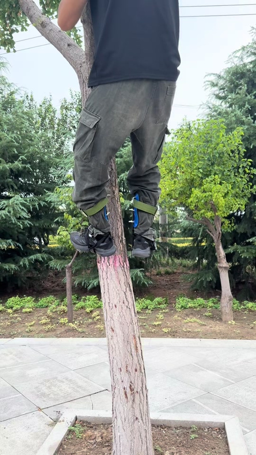 爬树最厉害的三个工具图标
