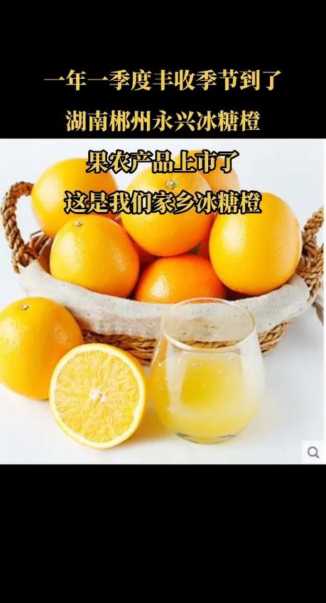 永兴冰糖橙的行情怎么样