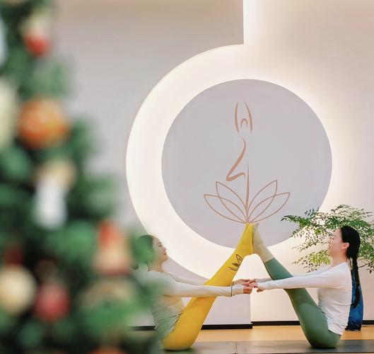 王蕊中老年瑜伽免费课图标