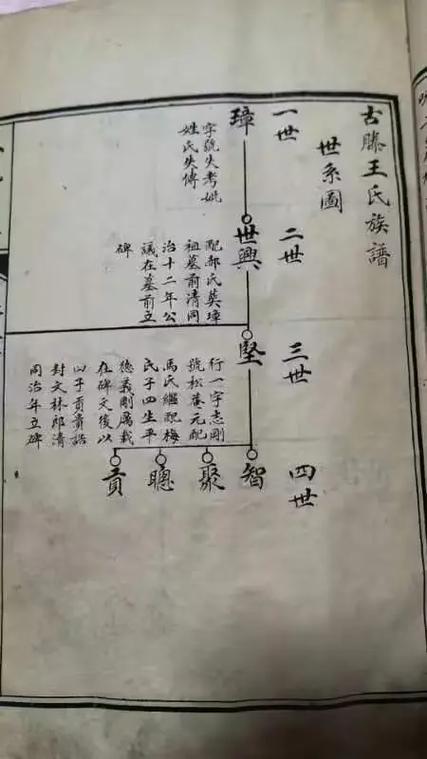 王氏姓氏族谱图标
