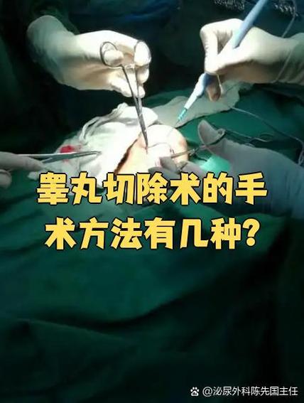 我的世界割蛋手术截图