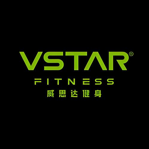vstar什么牌子图标