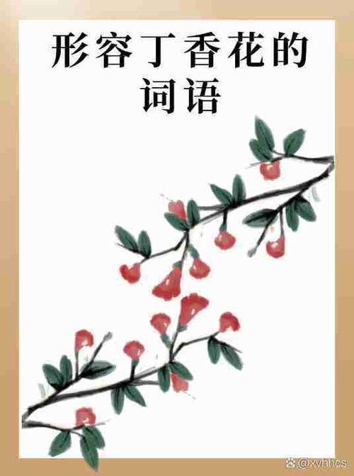 宅阅读含苞待宠图标