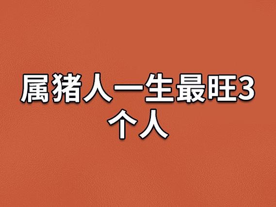 最旺的三个生肖图标
