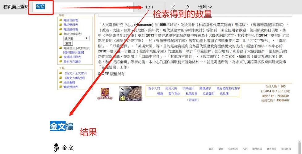 lingo什么意思中文意思图标