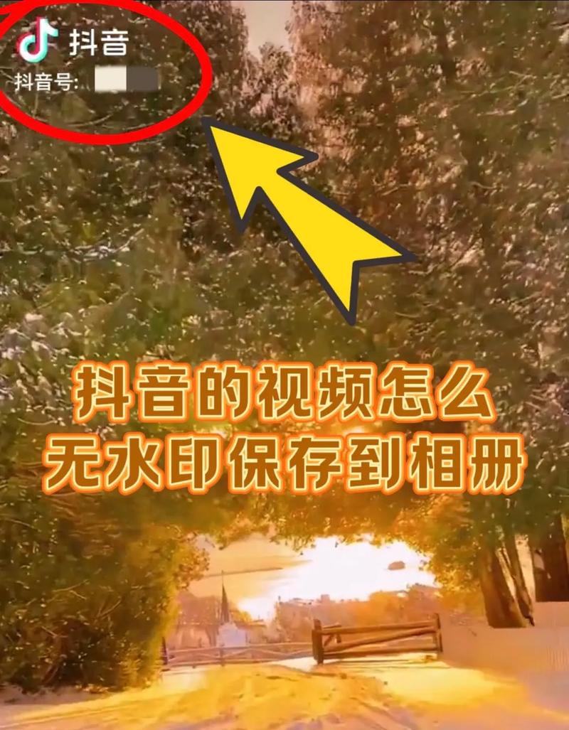抖音短视频怎么去水印并保存到相册截图